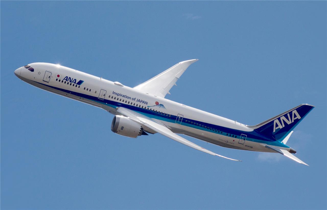 Boeing 787 Dreamliner Plane Glossy Poster Picture Photo Print Banner C ...