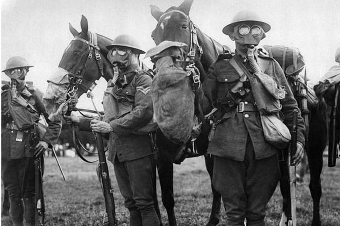 Wwi Horse Gas Mask Donkey Ww1 Glossy Poster Picture Photo Print Banner ...